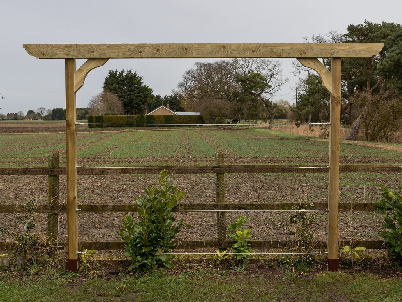 Enhance Your Garden with a Screen Double Beam Pergola – Arbor Garden ...